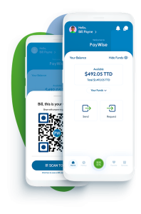 PayWise: Secure & Fast Digital Payment Solutions for Everyone