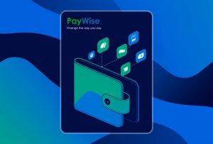 PayWise for Personal Use: Manage Your Payments Easily