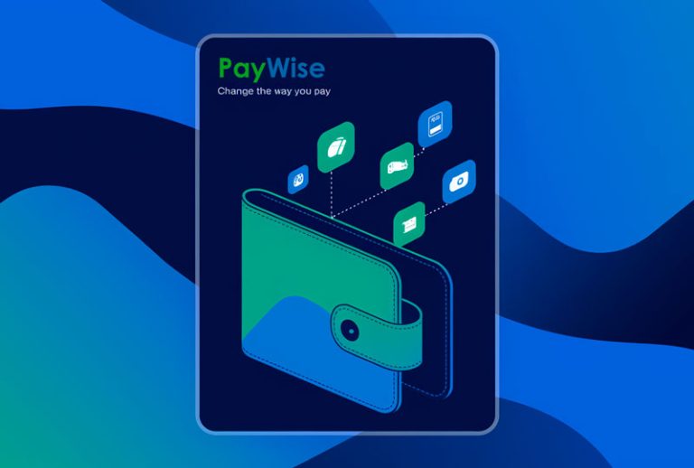 PayWise for Personal Use: Manage Your Payments Easily
