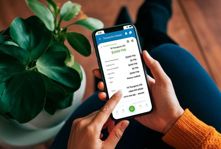 PayWise Online Payments & Invoicing: Efficient & Secure